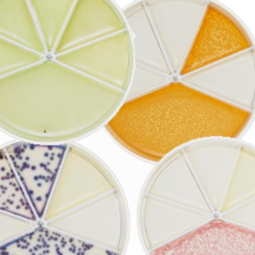 Brug Flexicult Urinkit Korrekt | Hounisens Guide Til Prøvehåndtering